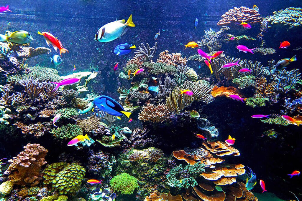 Reliance plans to build World’s Largest Zoo in Gujarat, Dream Project ...